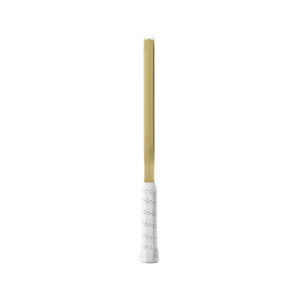 Selkirk SLK Era Power Elongated Regal Pickleball Paddle – Control the ...